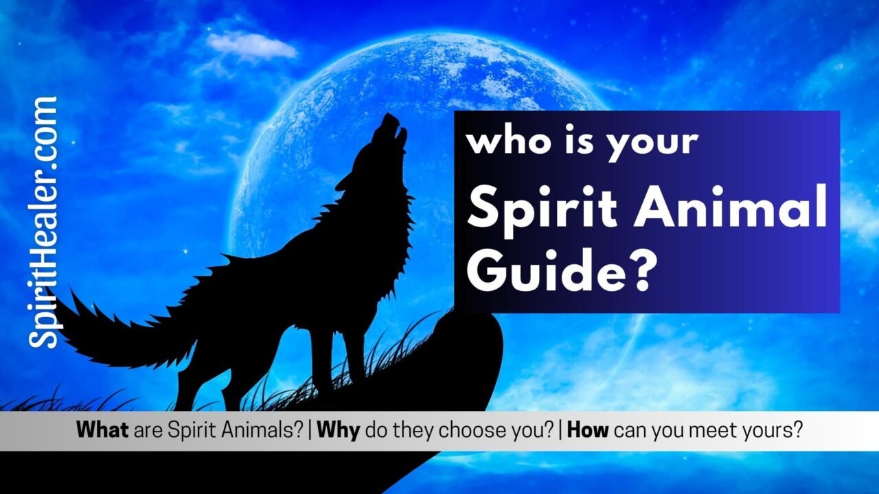 Who is your Power Animal Guide? · SpiritHealer